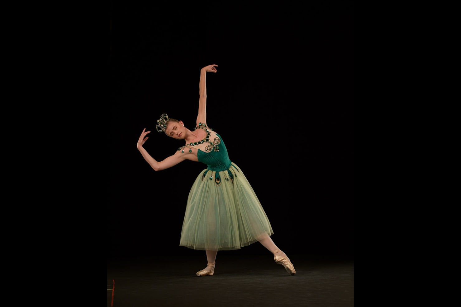 The 75th Anniversary Season Opens with a Large-Scale Video Installation by David Michalek | New ...